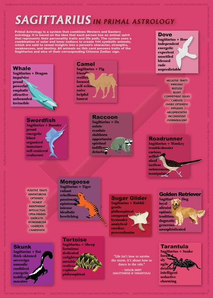 Primal zodiac chart 60 photos - Astrologytoyou.com