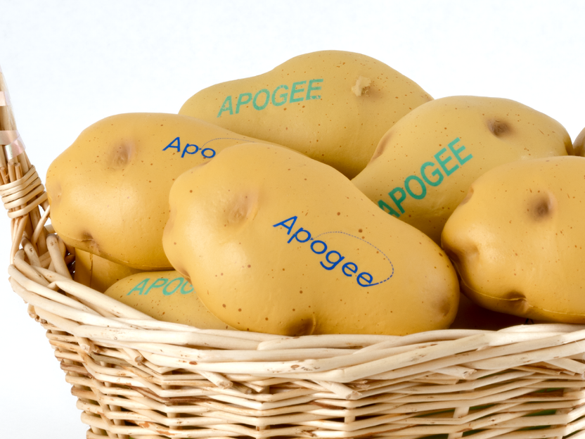 Apogee Graphics